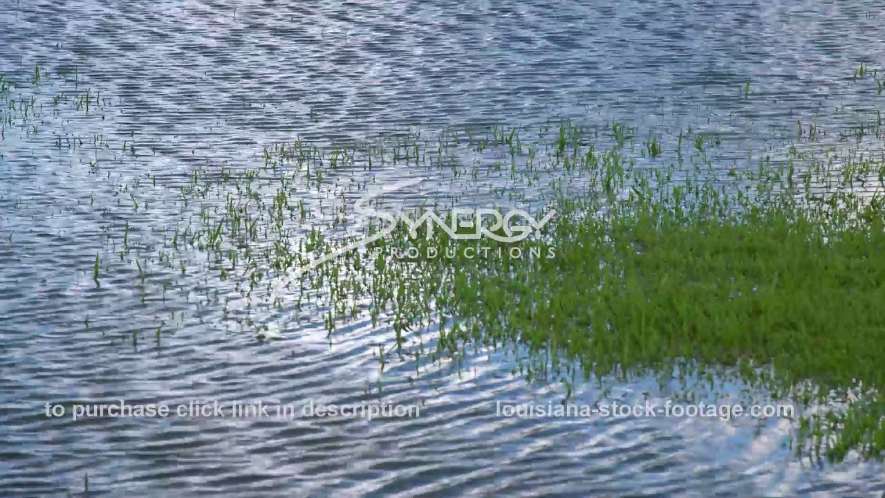 260 flood water stock footage - YouTube