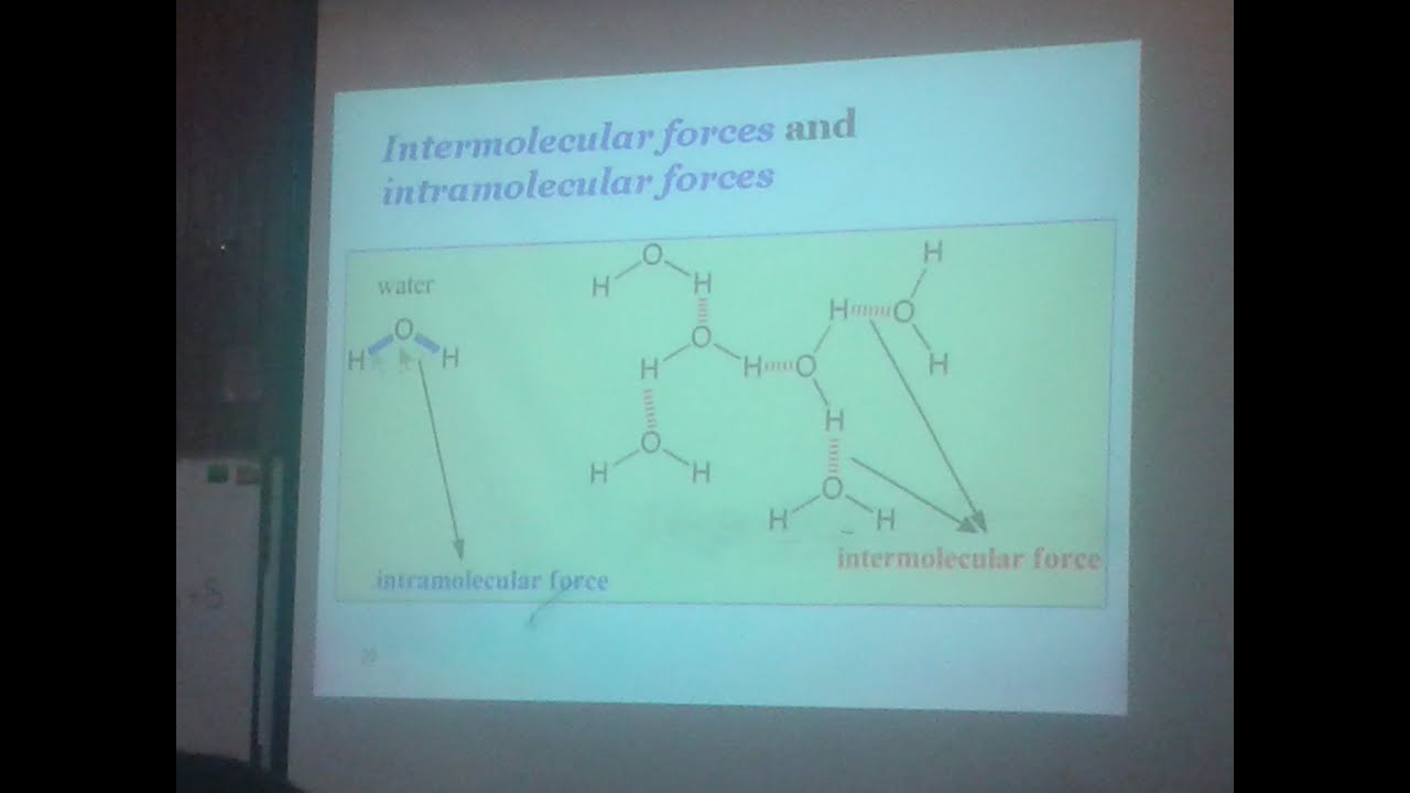 Intermolecular Vs Intramolecular Force Ion Dipole Dipole Dipole 9549