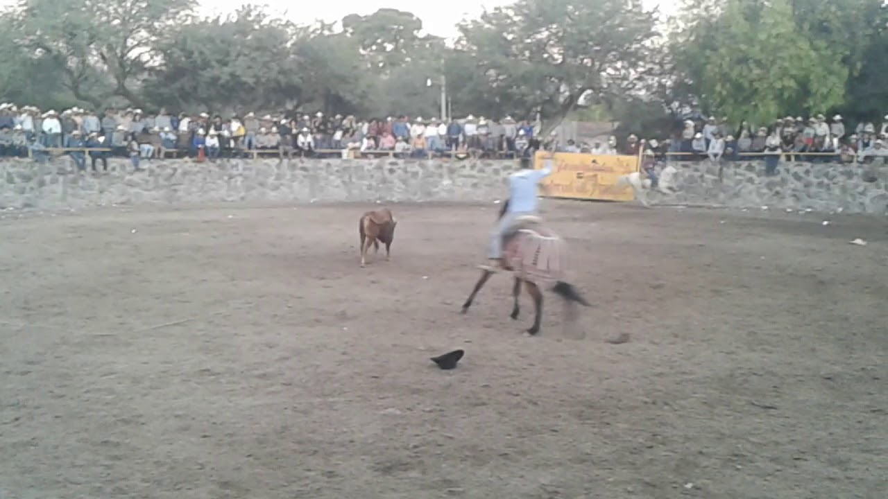 La Jugada Del Mejor Toro de Rancho El Carmen, El Super Raton en ...