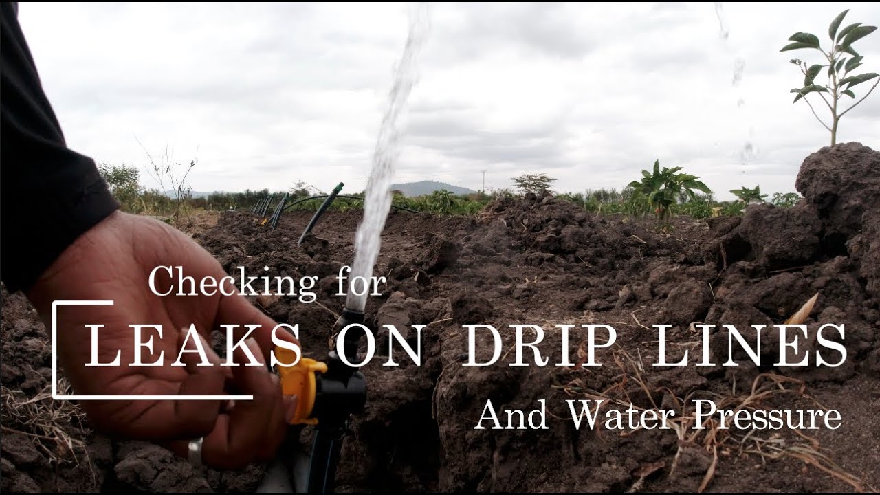 Uncovering Leaks and Perfecting Water Pressure for Your Farm # ...