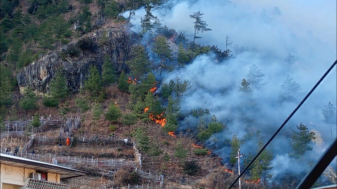 Forest fire at Changadaphu Thimphu Bhutan 🇧🇹🇧🇹 ll 8/1/2024 ll blessed ...