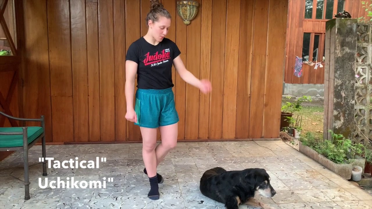 Shadow Uchikomi - YouTube
