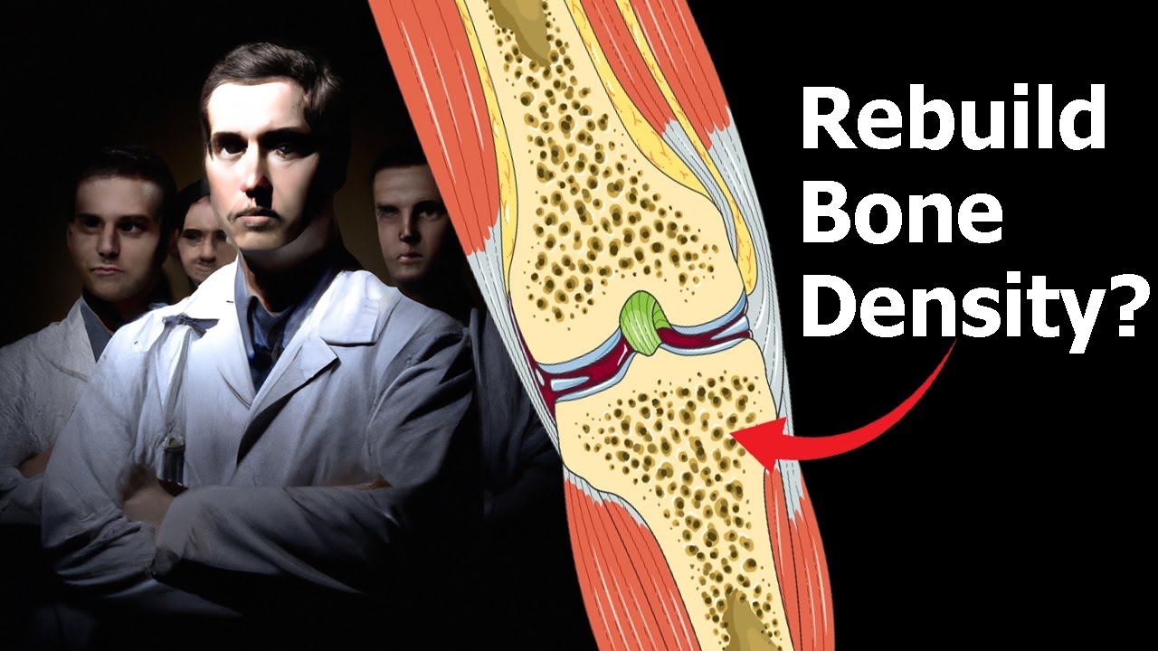 This Protein Could Restore Your Bone Density - YouTube