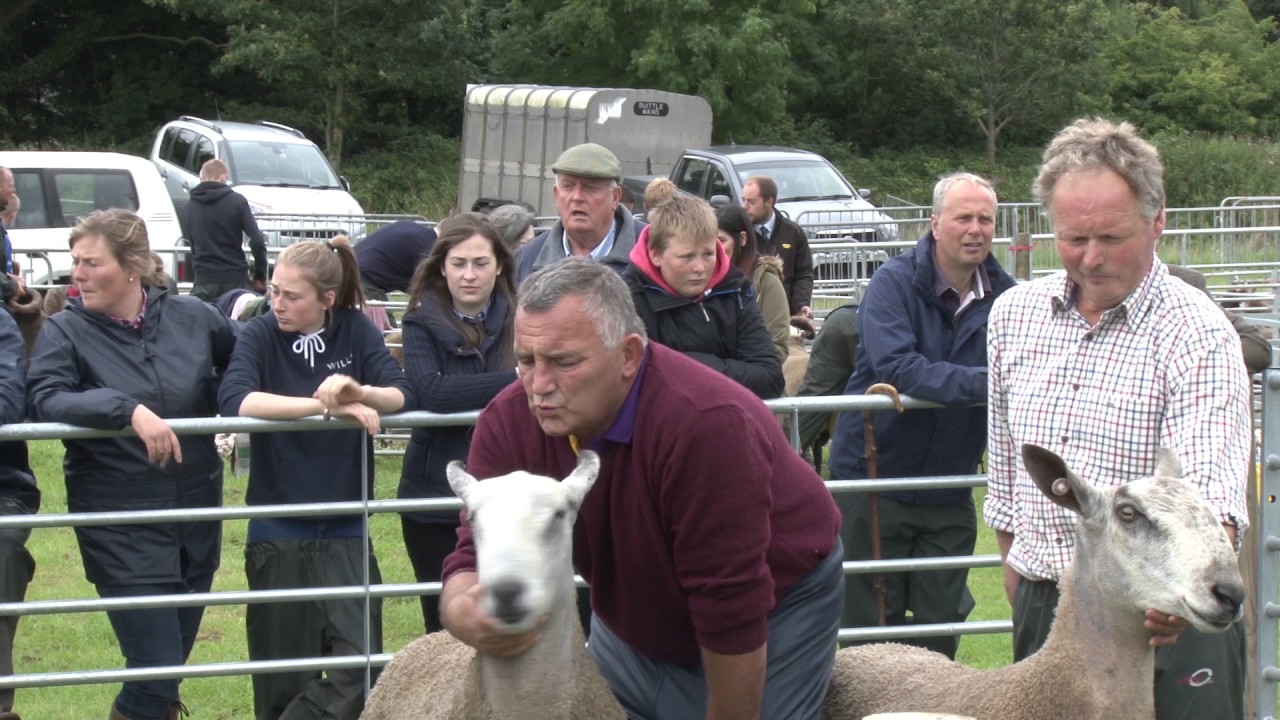 Wigtown Show 2016 - YouTube