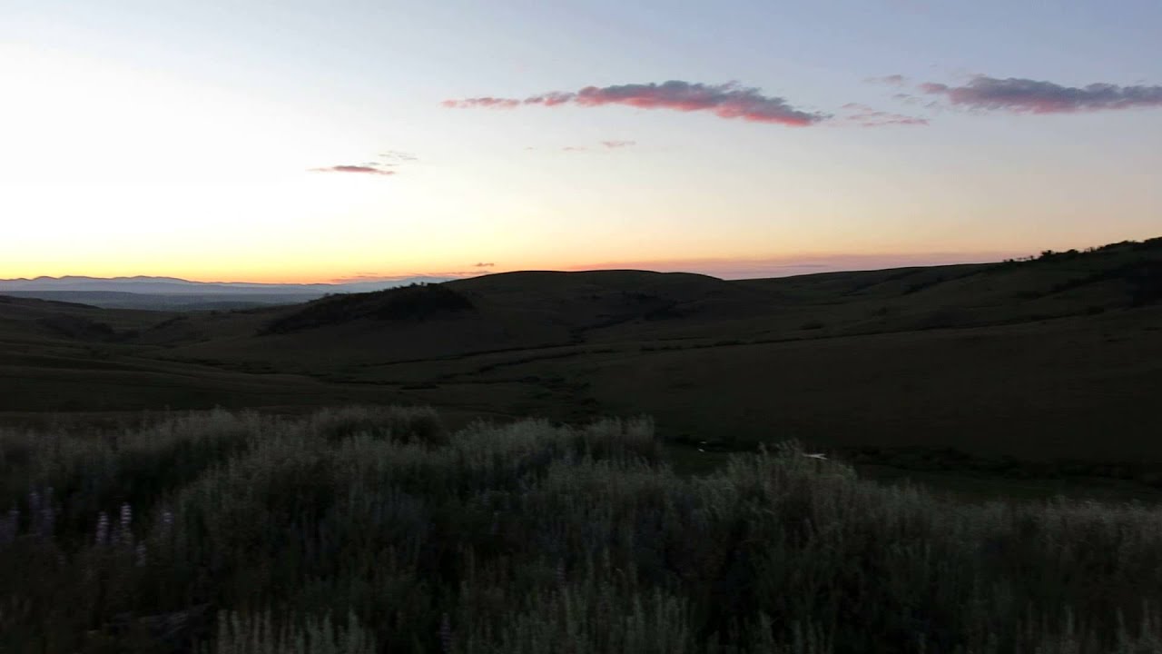 Wolf Howl with Sunset Panoramic -- Flying D Ranch - June 2014 - YouTube