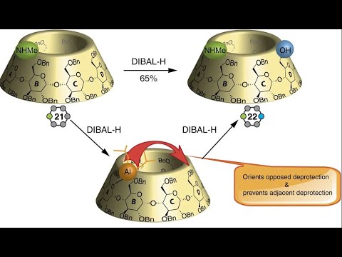 Applications and Mechanism of DIBAL-H(Reducing agent),By DR. Gaurav ...