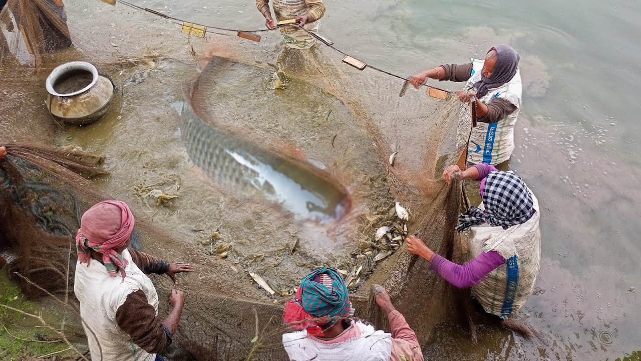 Net catch fish in the rever. The Best Fishing with hand in the water ...