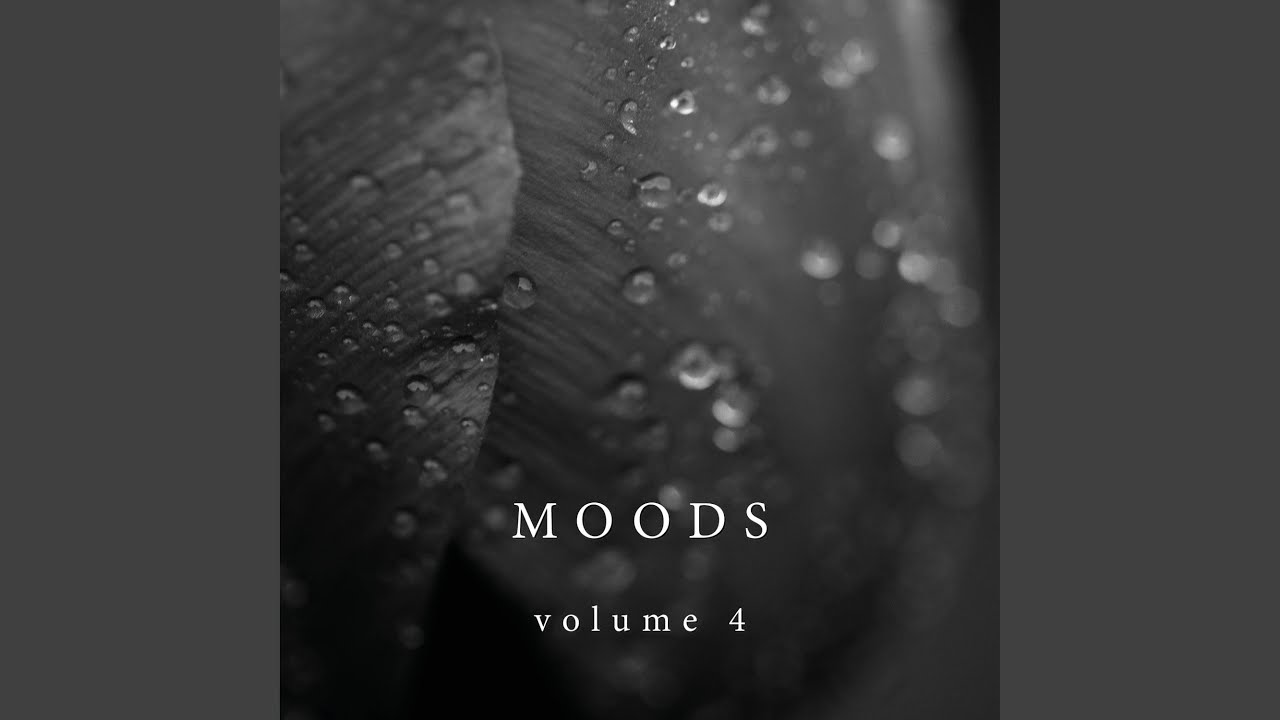 Moonlit Pathways - YouTube