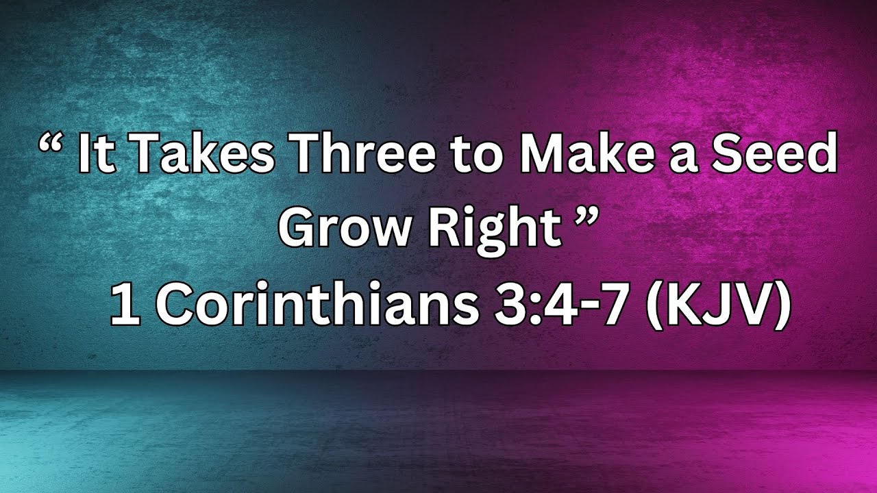 It Takes Three To Make a Seed Grow Right - Rev. Kim Collins - Bethlehem ...