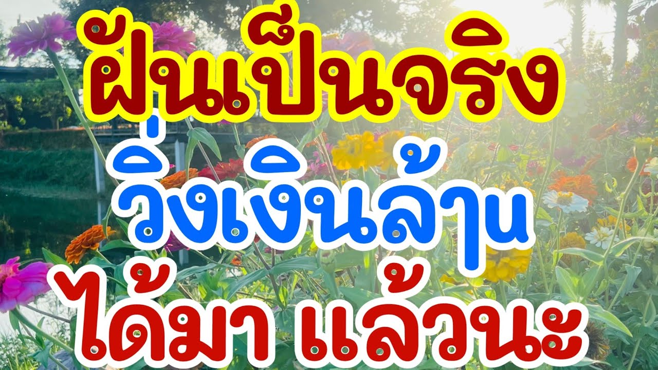 ฝันเป็นจริง ยายผา อ.รันพนมไพร ได้มาแล้วนะ 16 ธ.ค. 68 [EP.4] - YouTube