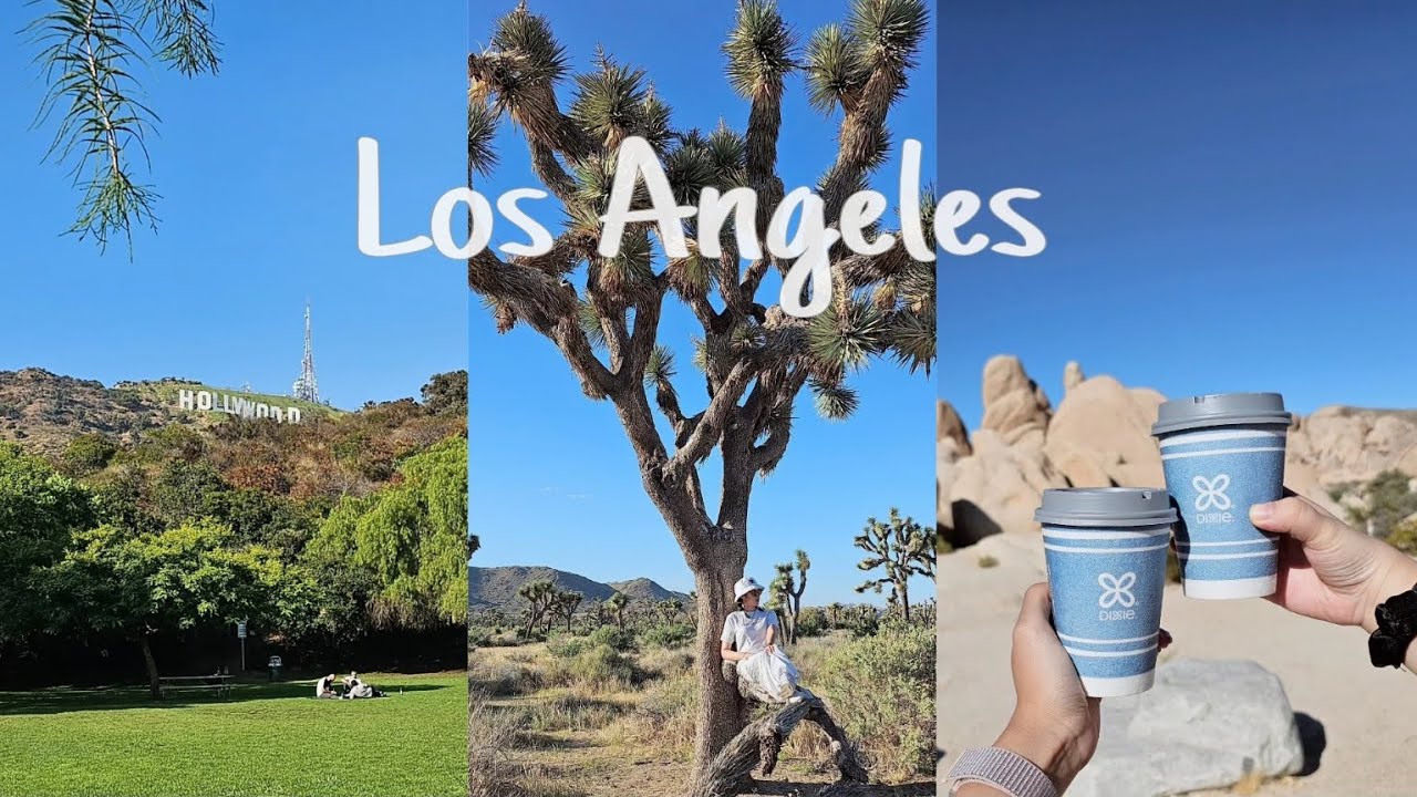 Vlog 미서부 2주 여행 브이로그 Us 4🌞 La🌴 드디어 엘에이 조슈아트리 투어 할리우드 파크 아이스크림 그리피스 천문대 칙필에이🍔 맛집 추천