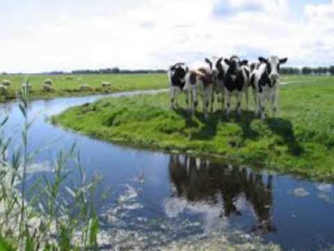 Tex De Wit - Zesjescultuur - YouTube