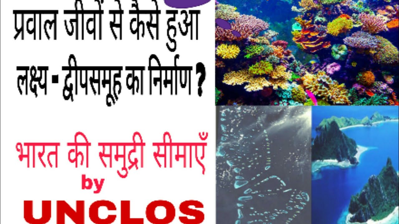 मूंगा जीवो से कैंसे हुआ द्वीपों का निर्माण और प्रवाल भित्ति क्या है ...
