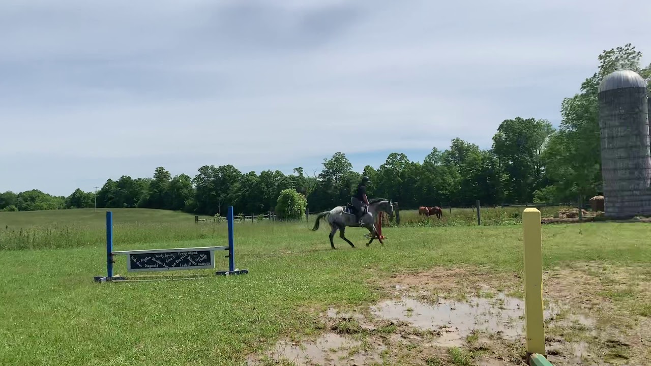 Poppy jump course - YouTube