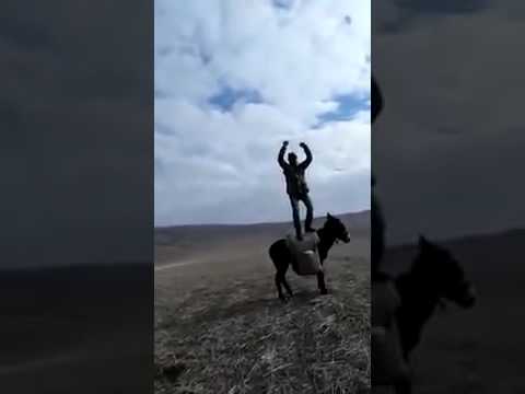 ankara havası oynayan çoban 2016