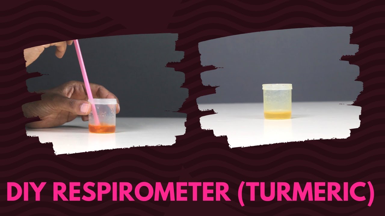 DIY Respirometer (Turmeric) | ThinkTac | DIY Science - YouTube