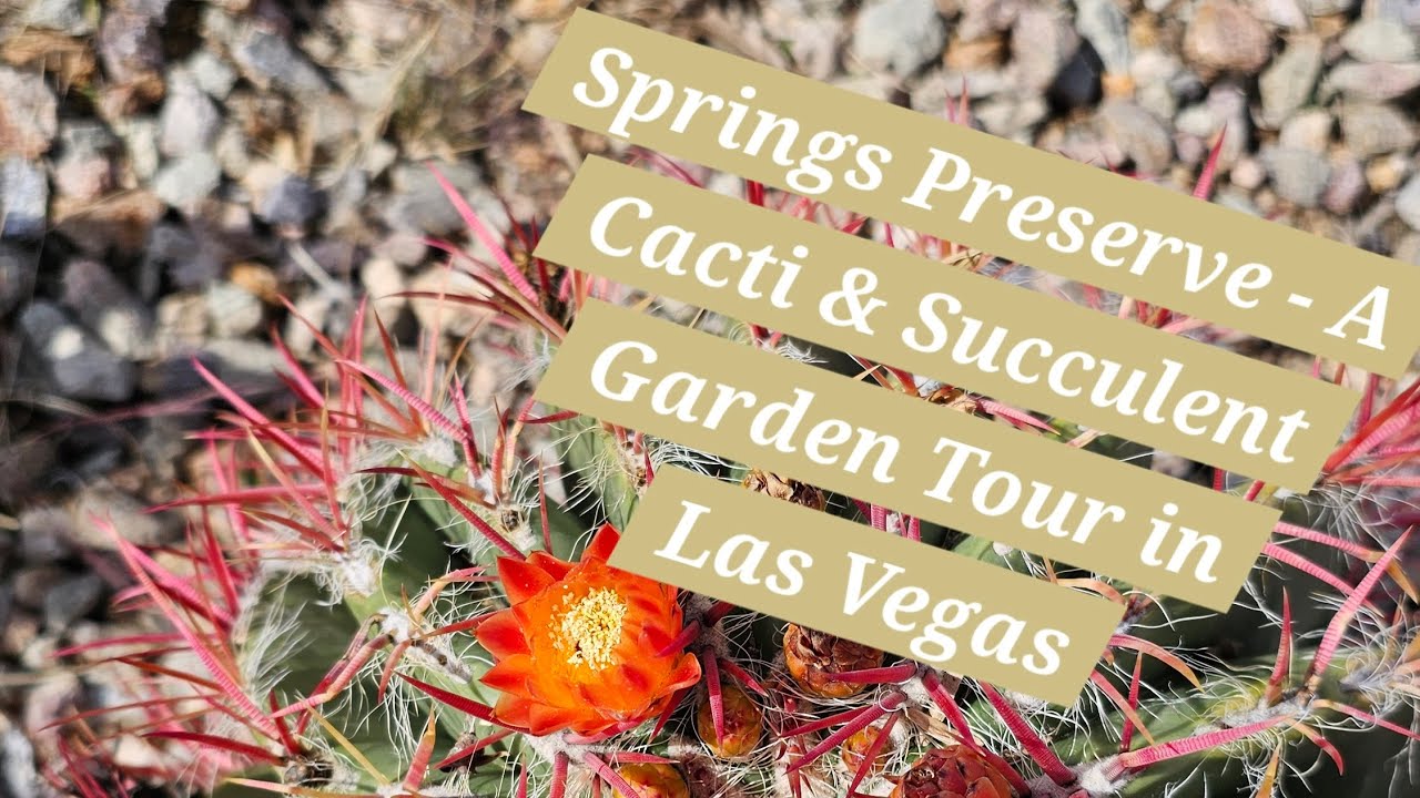 A special Garden Tour of Springs Preserve in Las Vegas. - YouTube