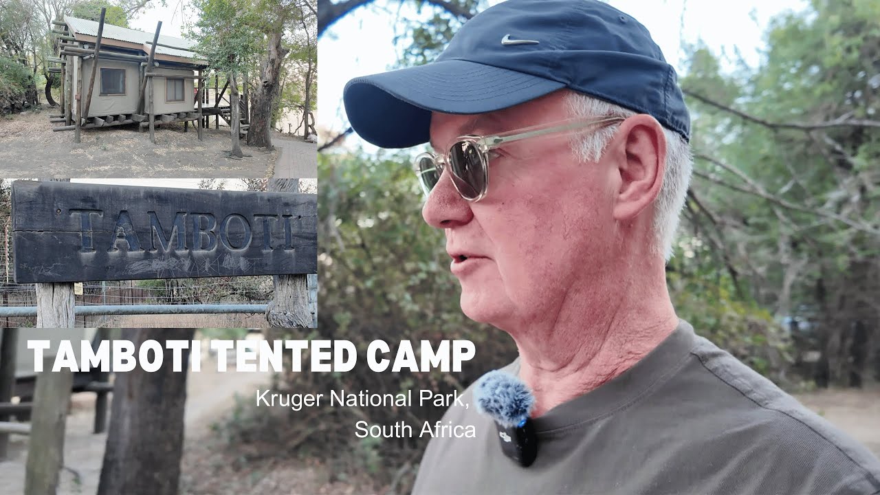 LUXURY SAFARI inside the Kruger park?: Inside Tamboti Tented Camp - YouTube