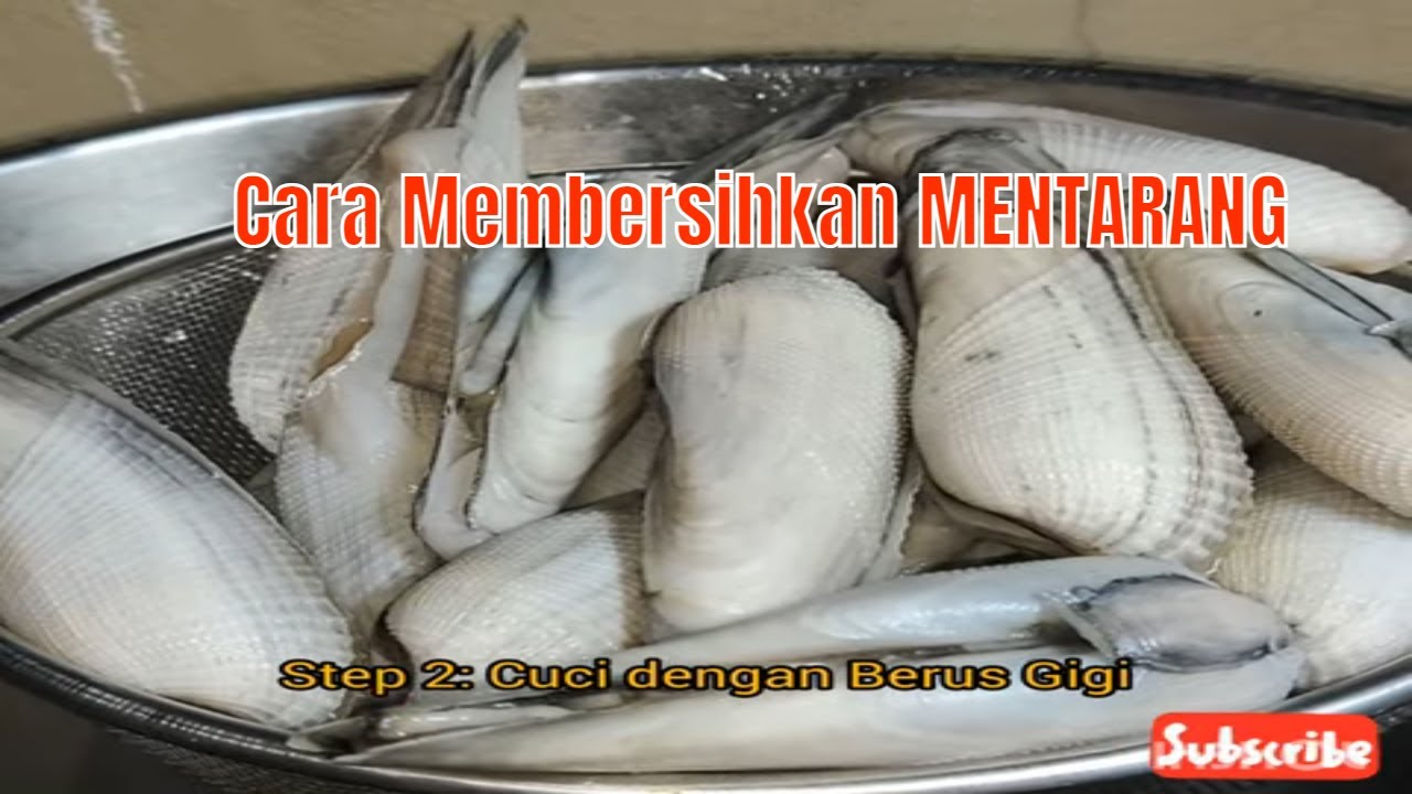 How to process Mentarang (Cara membersihkan Mentarang) - MUDAH Dan ...
