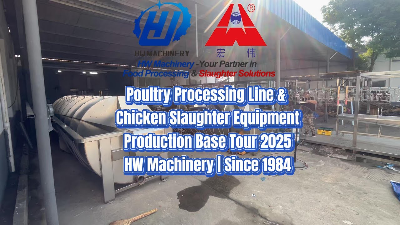 Poultry Processing Line Equipment & Chicken Slaughter Machine | HW Machinery Factory Tour 2025 ...