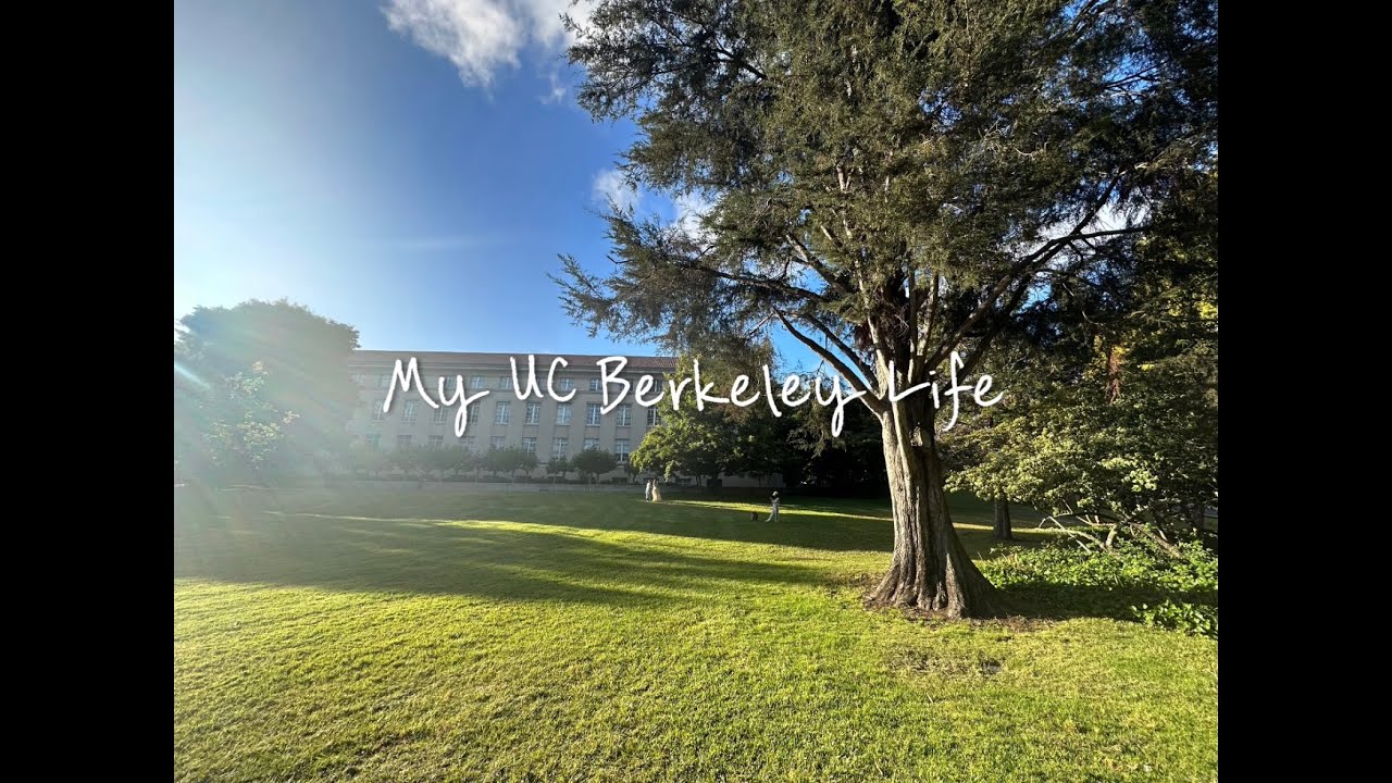 My~Our UC Berkeley Life - YouTube