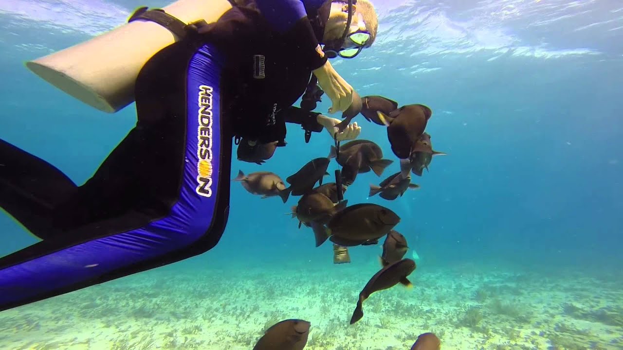 Man Eating Fish - YouTube