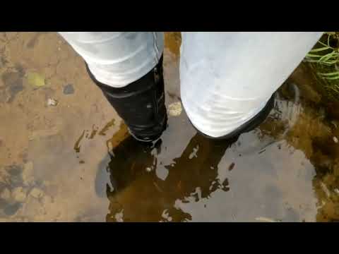 WetLook 135