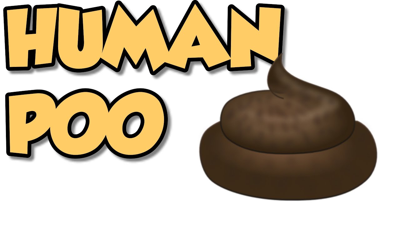 tourist falls into a hole and gets stuck in human poo - YouTube