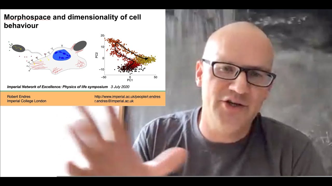 Prof Robert Endres, Imperial College, on morphospace and dimensionality ...