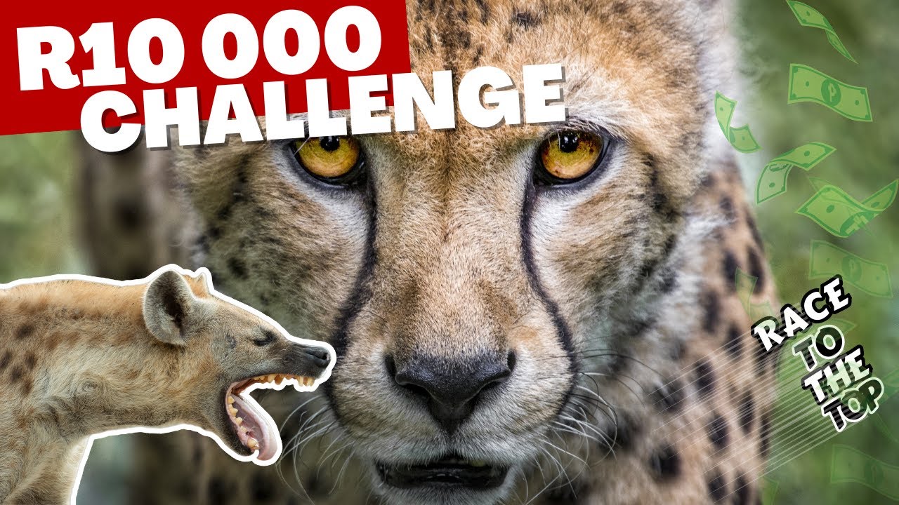 R10,000 Wildlife Challenge! First Team to Reach The Top of The Mountain ...