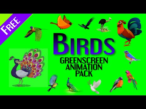 Birds green screen top animation pack | peacock parrots chicken hen and ...