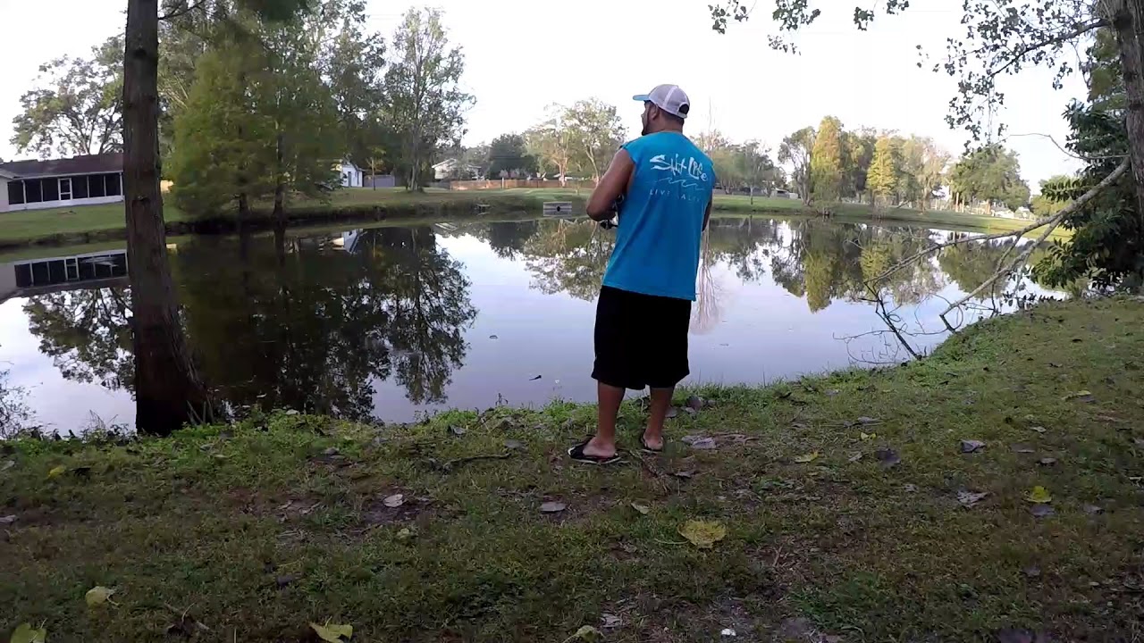 Backyard bass fishing - YouTube