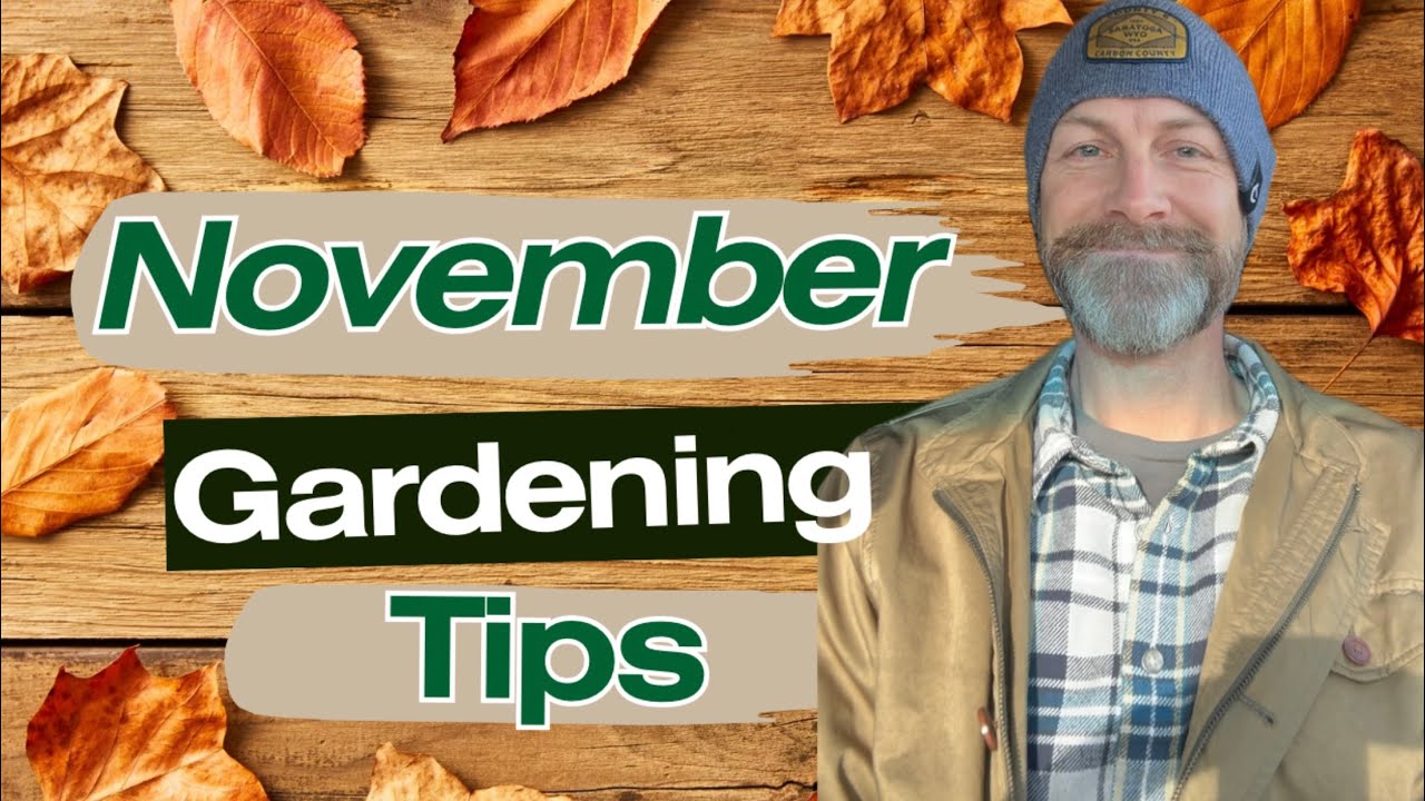 Landscaping in November - YouTube