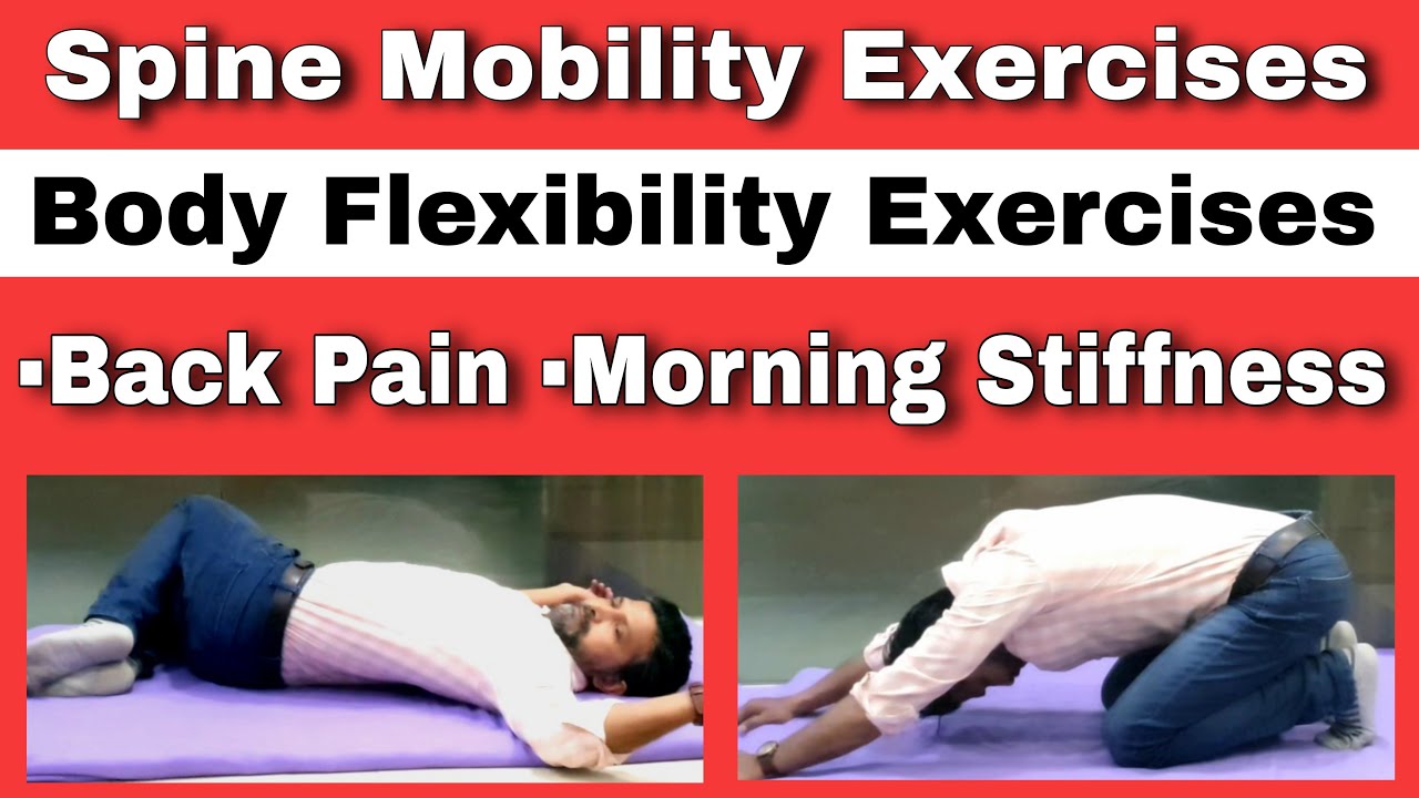 Spine Mobility And Flexibiliy Exercises In Hindi | Exercises For ...