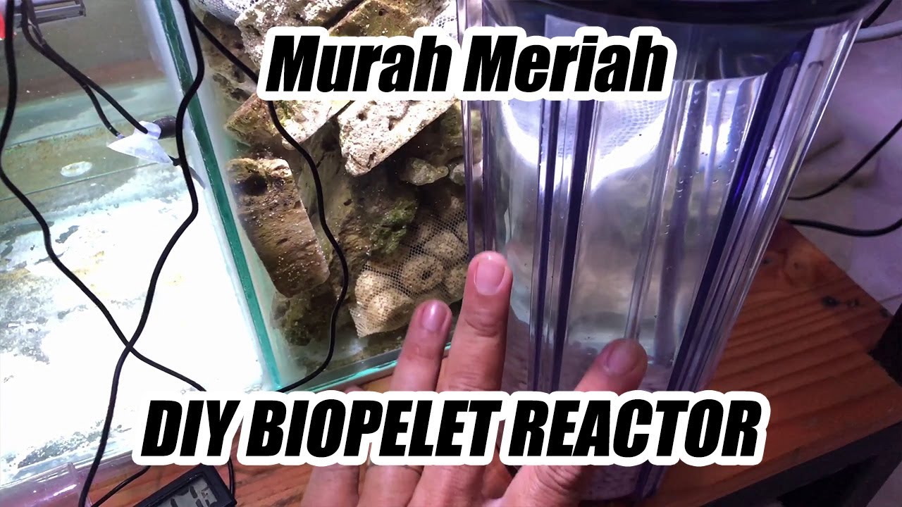 DIY Biopelet Reactor - akuarium air laut pemula - YouTube