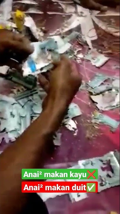 Hampir RM10K dimakan Anai-Anai.. 🤦😲 #short - YouTube