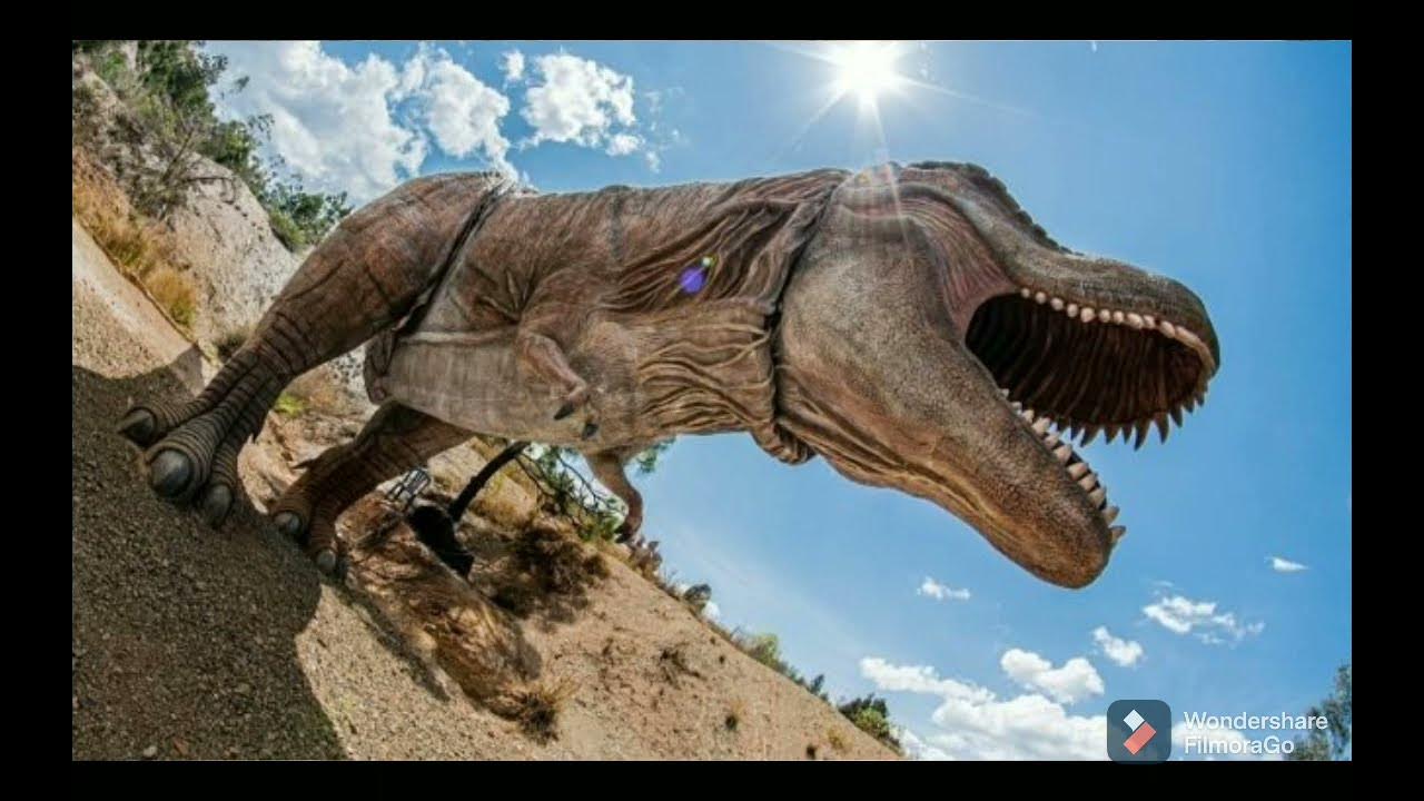 EL REY DE LOS DINOSAURIOS | Tyrannosaurus Rex El Rey De Los Lagartos Tyranos [Un Paseo Po El ...