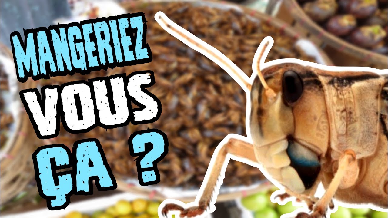 LE CRIQUET, c'est pas si dégueux #3 [ÉTRANGES DÉGUSTATIONS] - YouTube