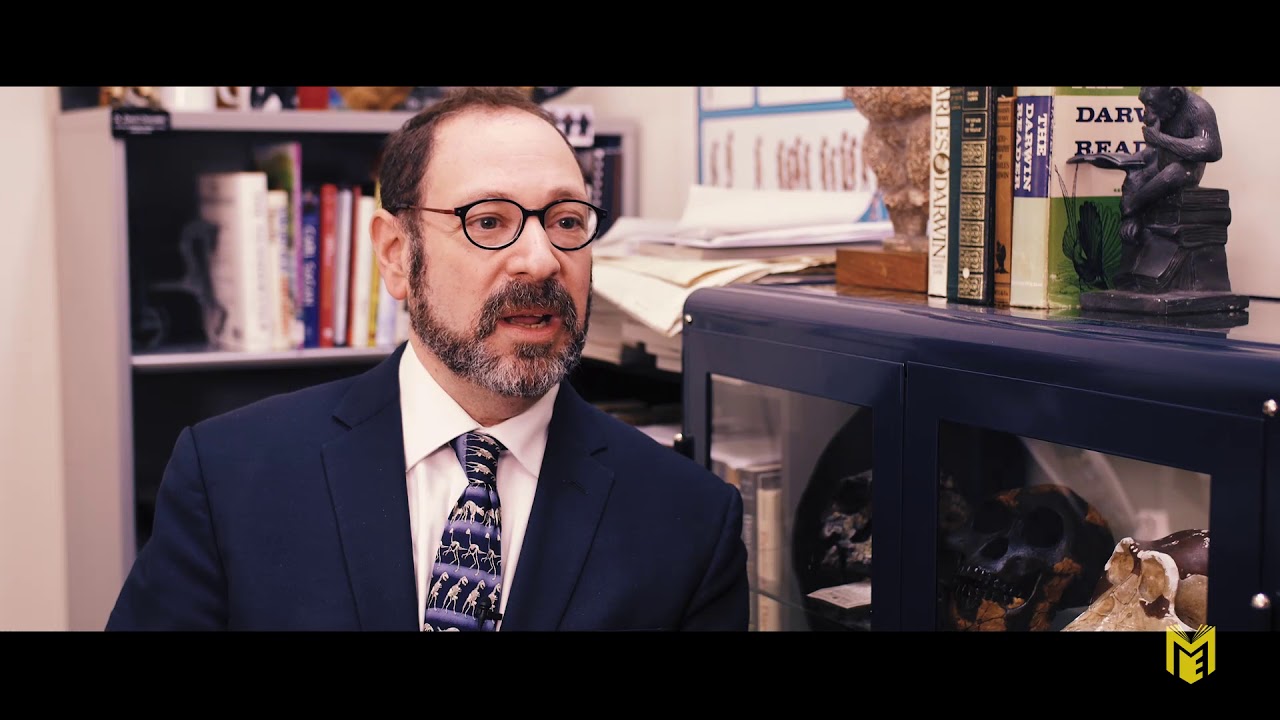 Faculty Spotlight: DAVID ORENSTEIN - YouTube