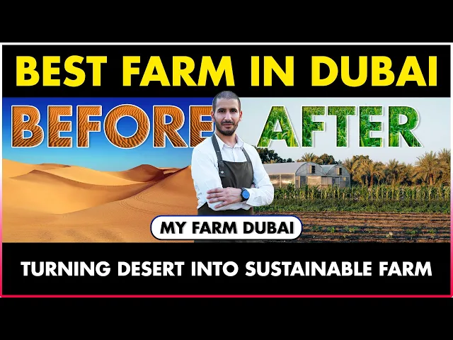 Best Sustainable Farm in Dubai | My Farm Dubai | Agriculture in Desert ...