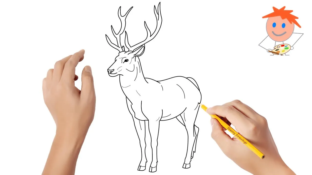 How to draw a deer | Easy drawings