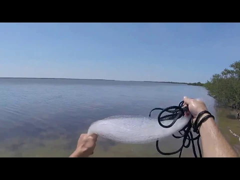 Guide To Fishing With Finger Mullet As LIVE BAIT (Catch Redfish Bluefish)