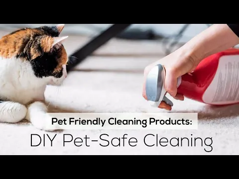 Pet Friendly Products: DIY Pet-Safe Cleaning | Bond Cleaning in Adelaide
