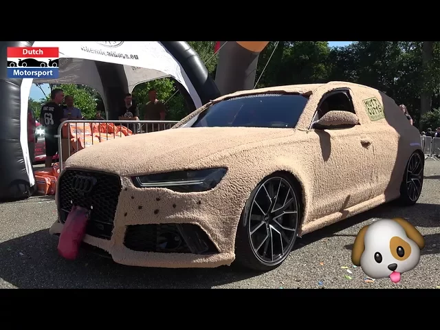 Shaggy Dog Audi RS6 Avant May Be the Best Dumb and Dumber Tribute Car Ever