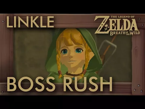 Linkle Mod Makes Breath of the Wild Even Better - Cat with Monocle