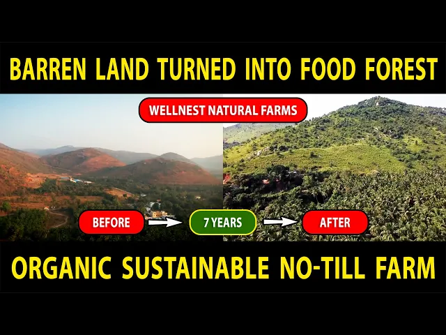 Barren Land turned to Agricultural Food Forest | ORGANIC, NO-TILL ...