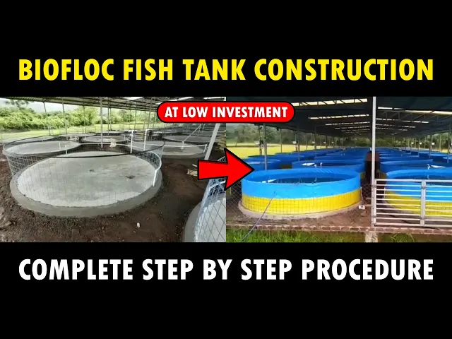 How to make BIOFLOC TANK in LOW COST | Biofloc Tank Setup | Biofloc ...