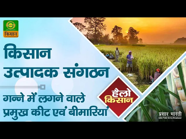हैलो किसान : किसान उत्पादन संगठन | Hello Kisan | May, 02, 2022
