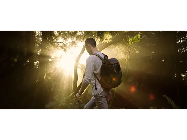 Which RED Camera to Buy? RED Digital Cinema Lineup Explained