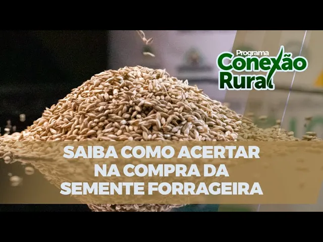 Germipasto - Sementes de Pastagem